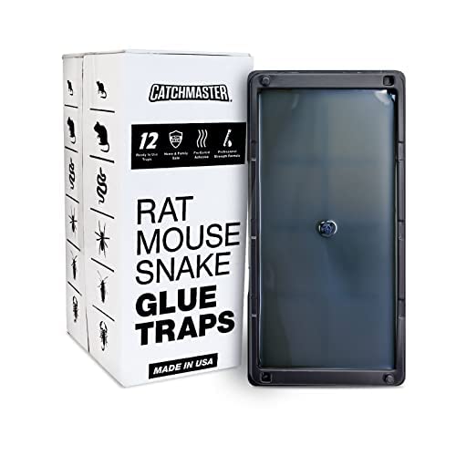 Catchmaster 402 Baited Rat Mouse and Snake Glue Traps Professional St 1 ...