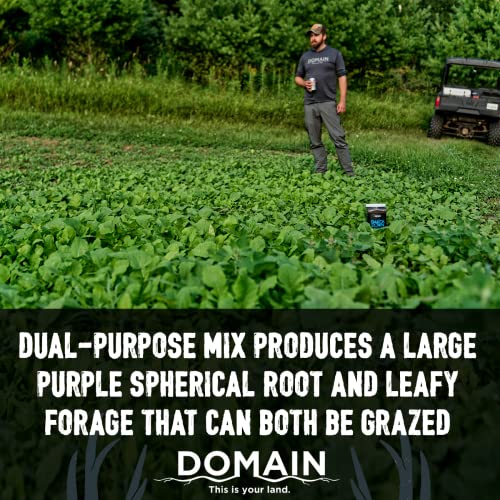 3 lbs. Domain Smack Down Food Plot Seed Plants up to 1/2 Acre for Fall ...